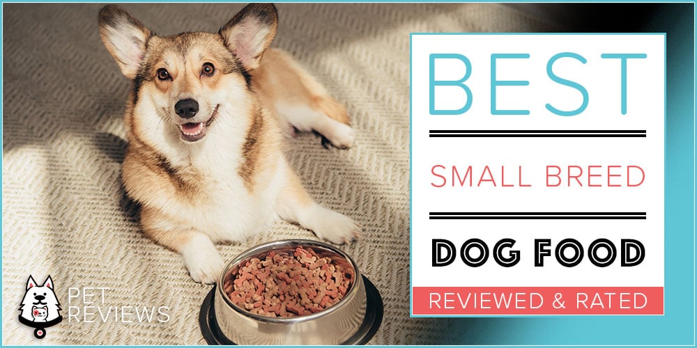 10 Best (Healthiest) Small Breed Dog Food Brands for 2024