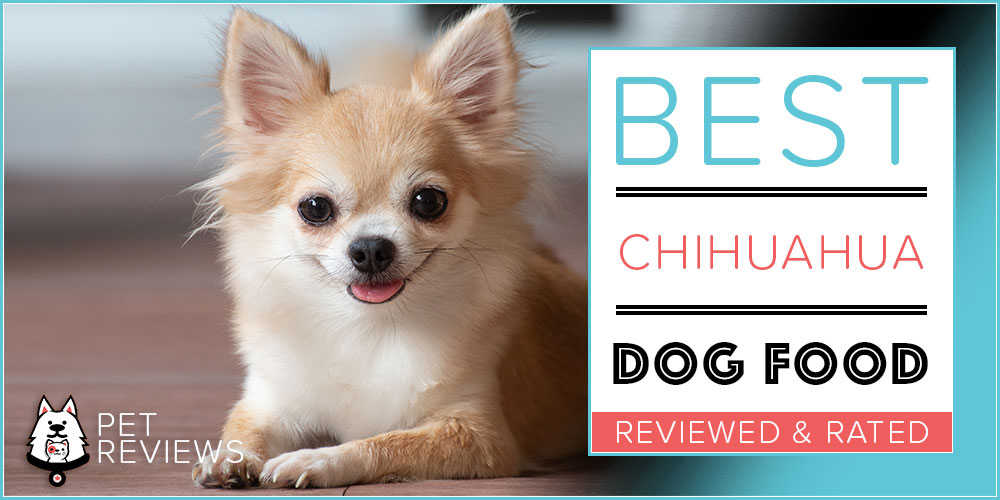 9 Best Dog Foods for a Chihuahua with our 2024 Most Affordable Pick