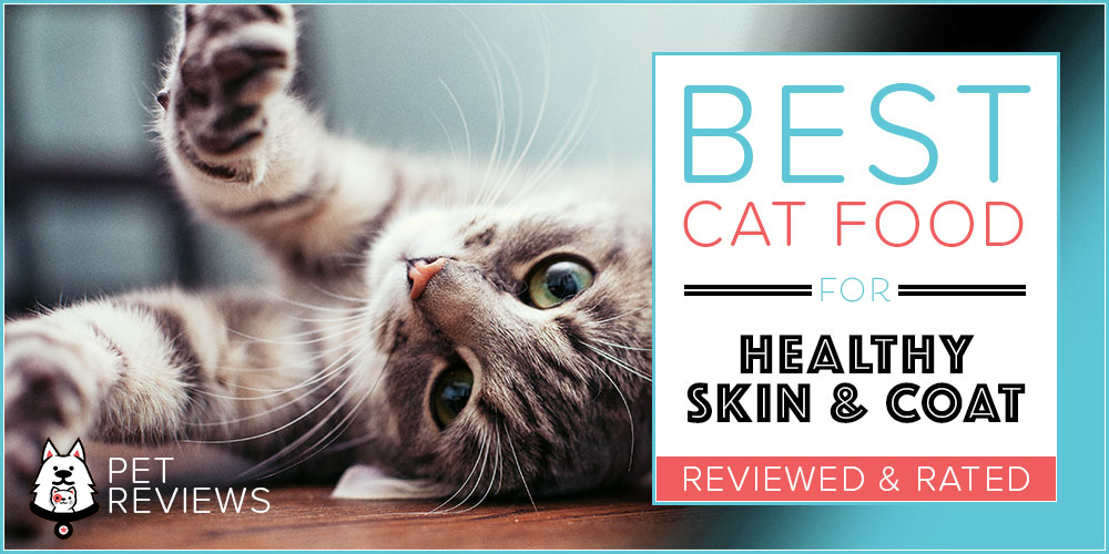 10 Best Cat Foods for Healthy Skin & Coat in 2024