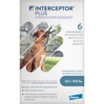 Interceptor vs. Interceptor Plus For Dogs: Our Guide To Which Is Better