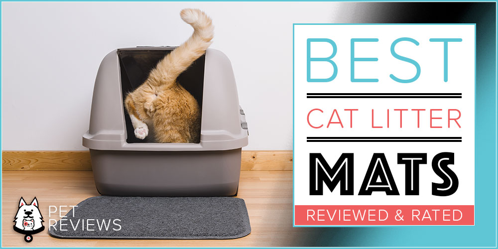 7 Best Cat Litter Mats With Our 2025 Budget-Friendly Pick