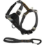 10 Best Harnesses For Pugs: Our Walking, Hiking & No Pull Picks