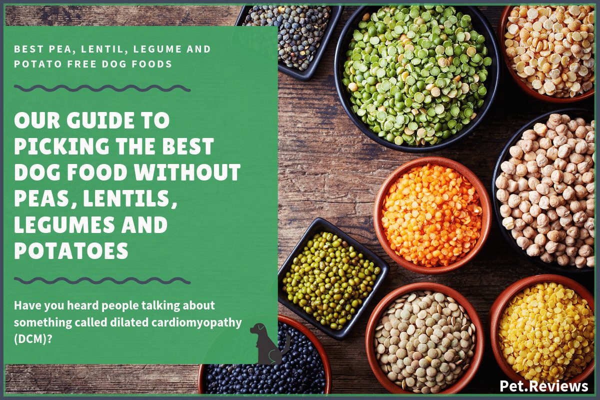 10 Best Dog Foods without Peas, Legumes, Lentils & Potatoes