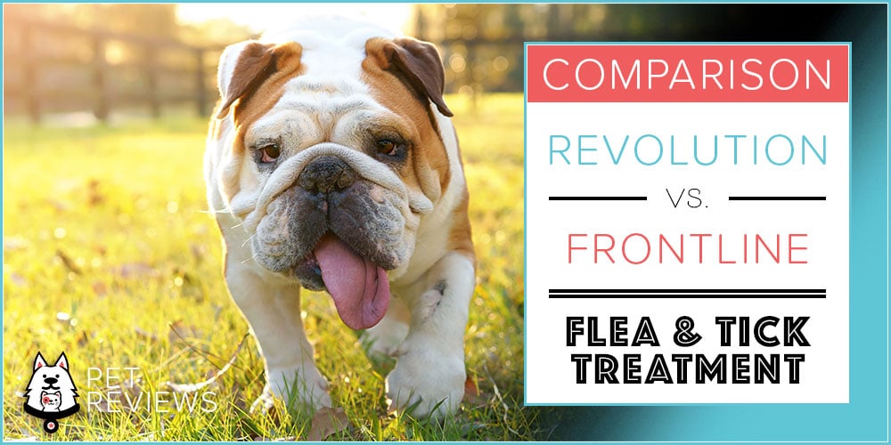 Revolution Vs Frontline For Dogs: Our 2024 Guide To Which One Is Better
