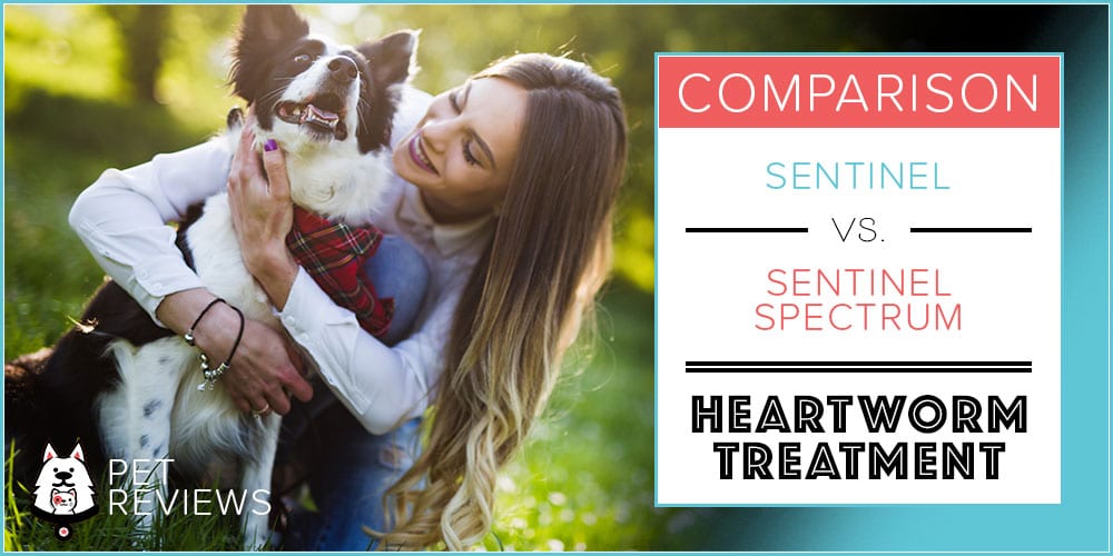 Sentinel vs Sentinel Spectrum For Dogs: Which one is Better?