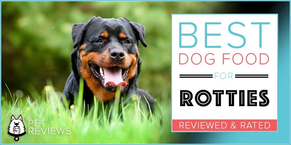 11 Best Dog Foods for Rottweilers in 2025