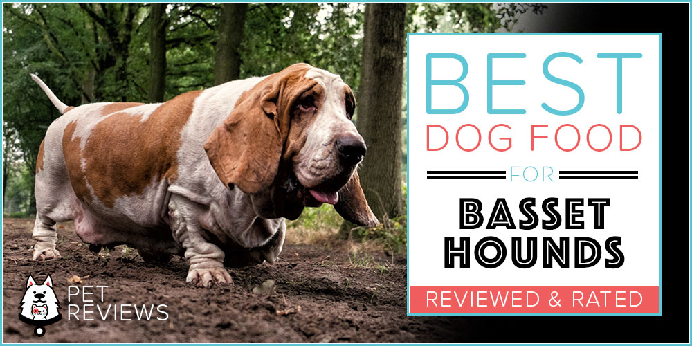 11 Best Dog Foods for Basset Hounds in 2024