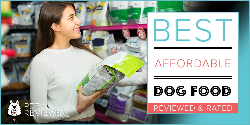 Best Cheap Dog Food [Grain Free] - Inexpensise & Affordable Brands