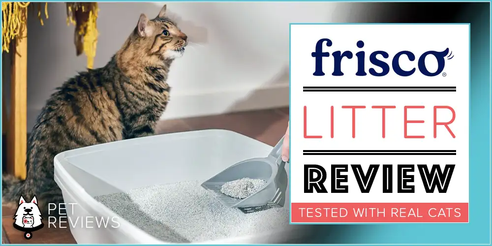 Our 2024 Frisco Cat Litter Reviews and Coupons